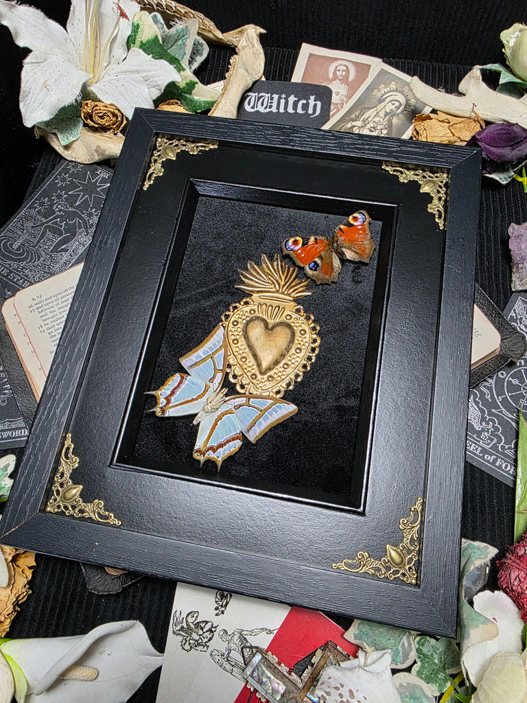 Her sacred heart – Beetles Bones & Butterflies