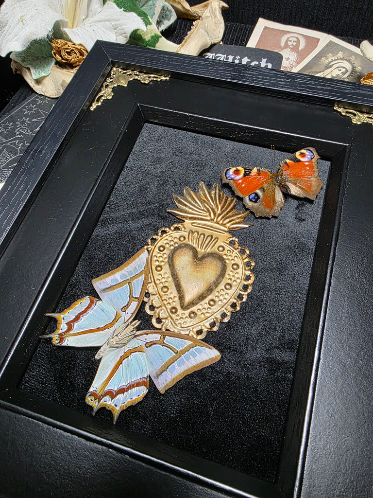 Her sacred heart – Beetles Bones & Butterflies